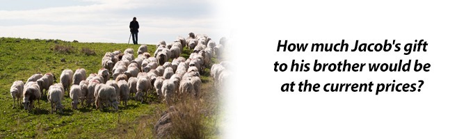 Jacob's gift - Universal Church of the Kingdom of God